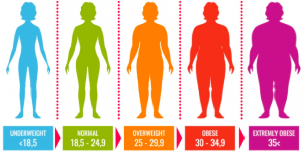 Confronting the Weight: Understanding and Addressing the Obesity ...